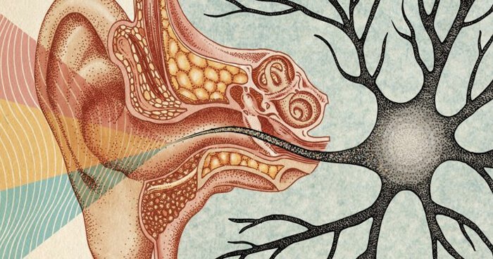 Science Says Silence is Vital For Our Brains - Judith Orloff MD