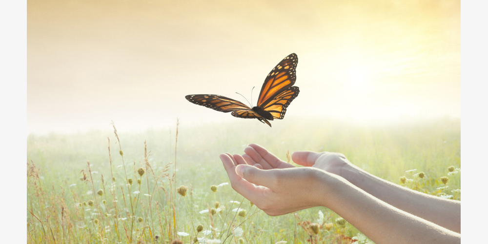 Building Compassion, Releasing Resentments